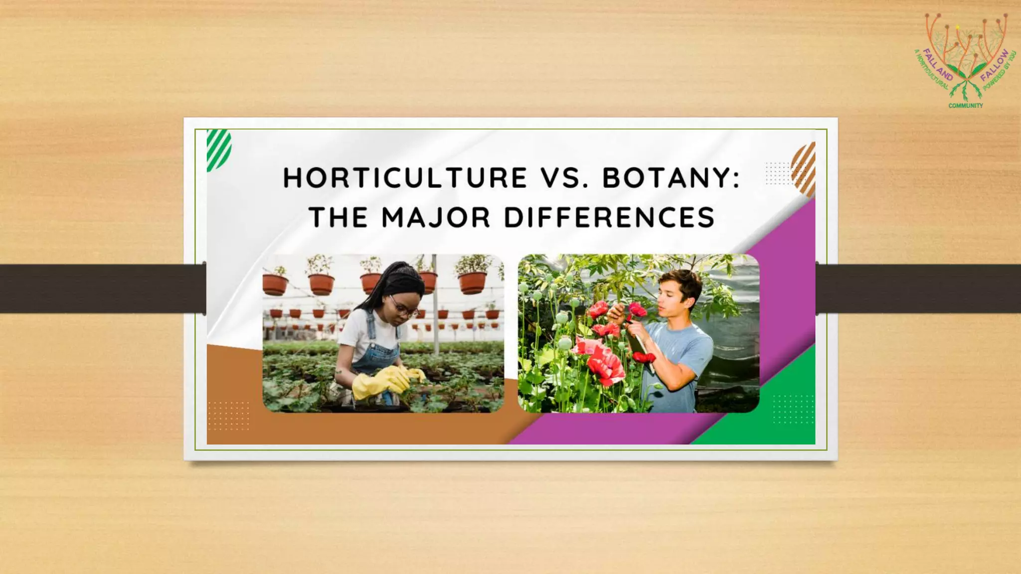 Horticulture Vs. Botany: The Major Differences | PDF
