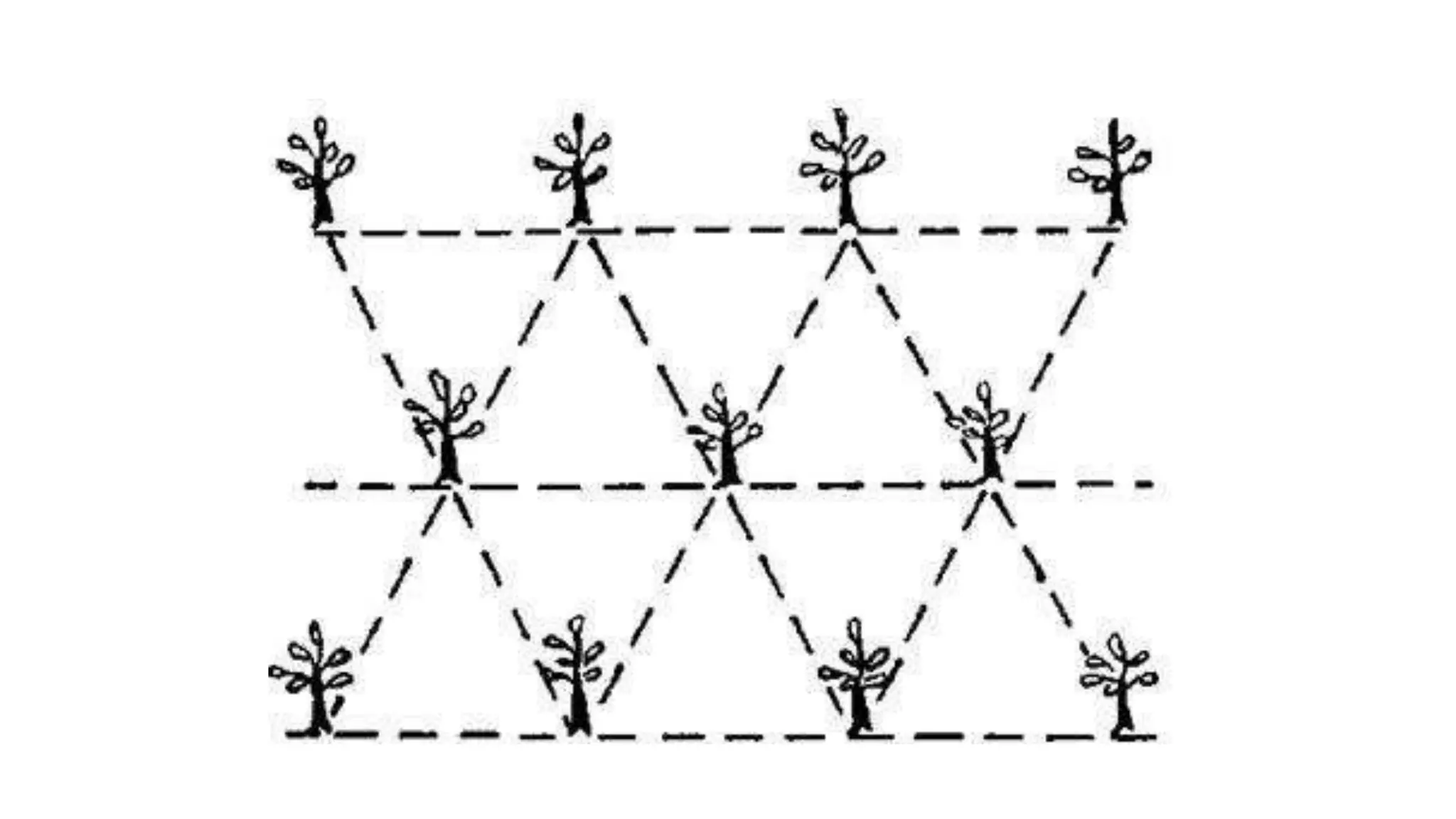 Planting system of fruit crops | PPTX