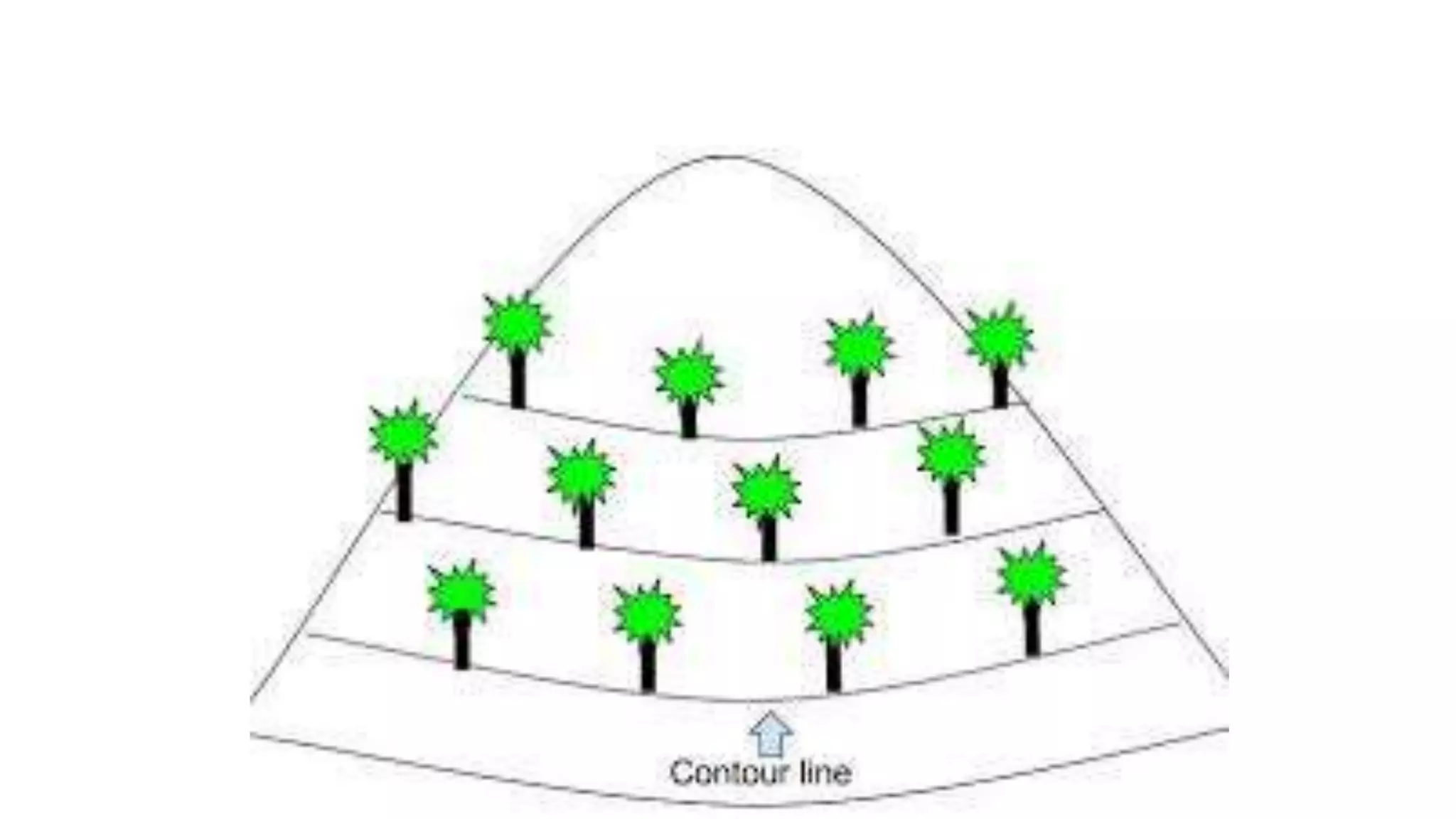 Planting system of fruit crops | PPTX | Gardening | Home & Garden