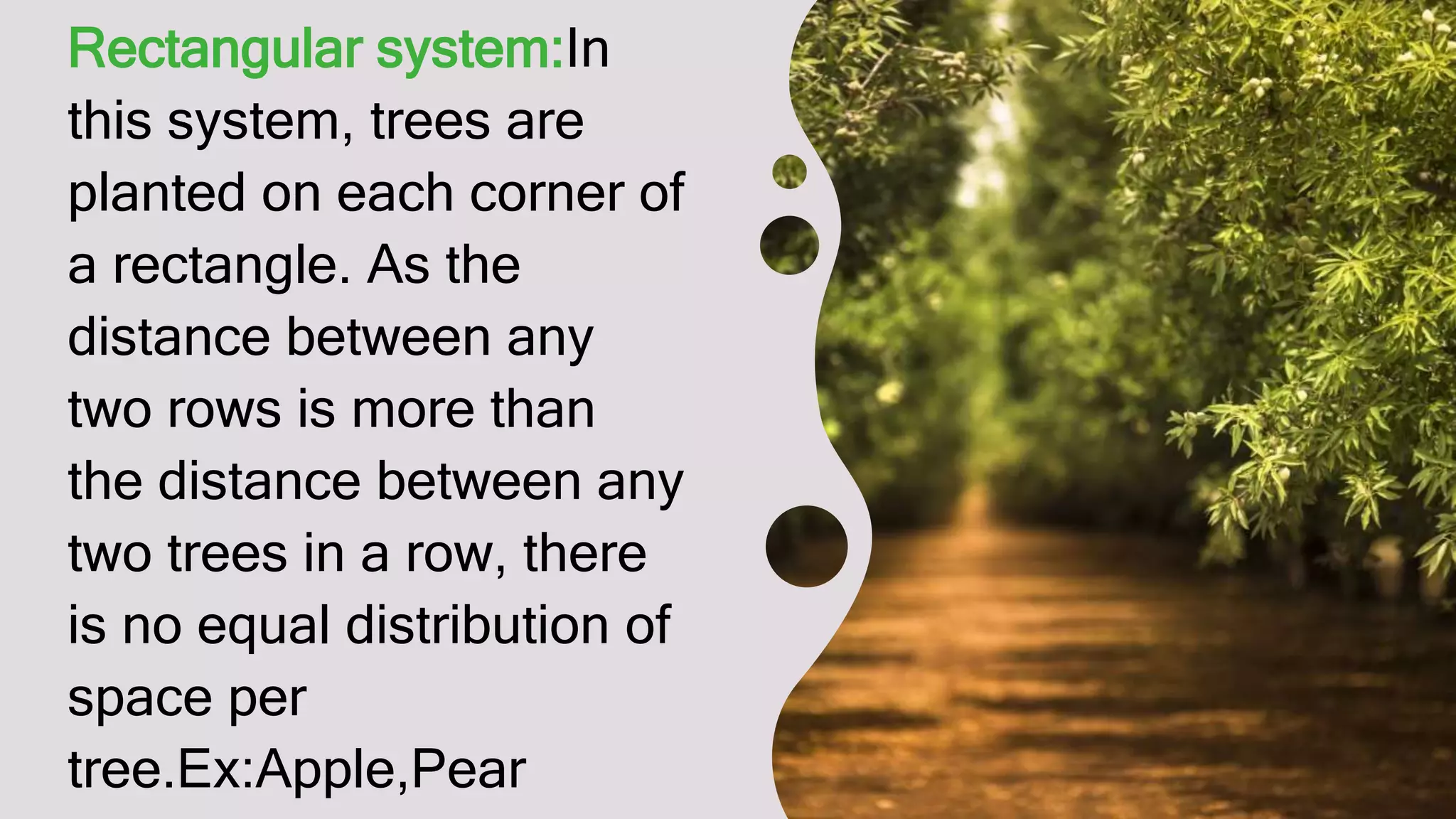 Planting system of fruit crops | PPTX