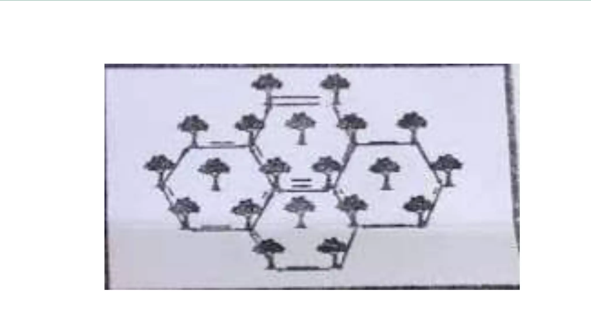 Planting system of fruit crops | PPTX