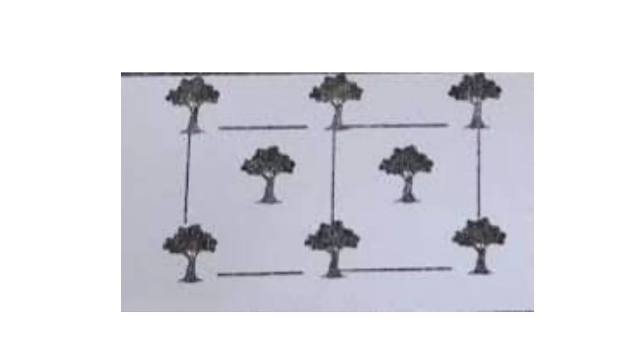 Planting system of fruit crops | PPTX
