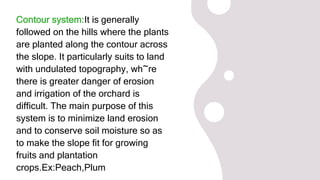 Planting system of fruit crops | PPTX