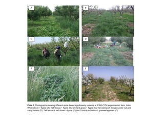 Hortipastoral systems challenges and opportunities | PPT