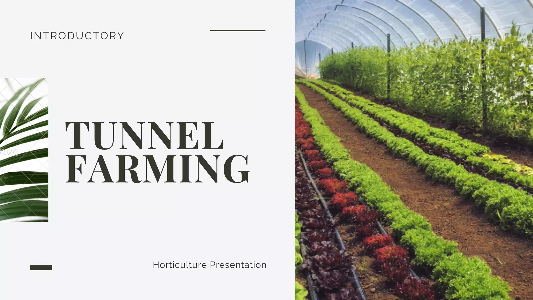 Tunnel Farming and its types. | PDF