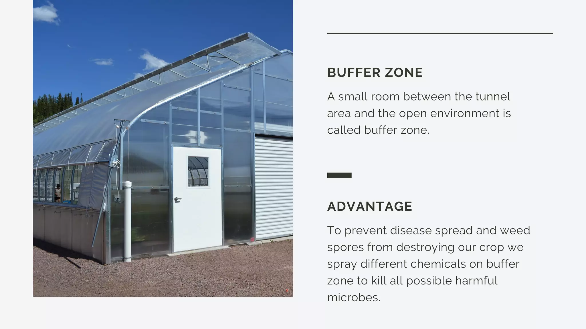 Tunnel Farming and its types. | PDF