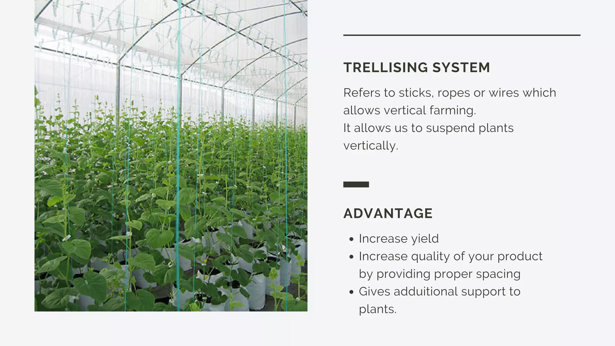 Tunnel Farming and its types. | PDF