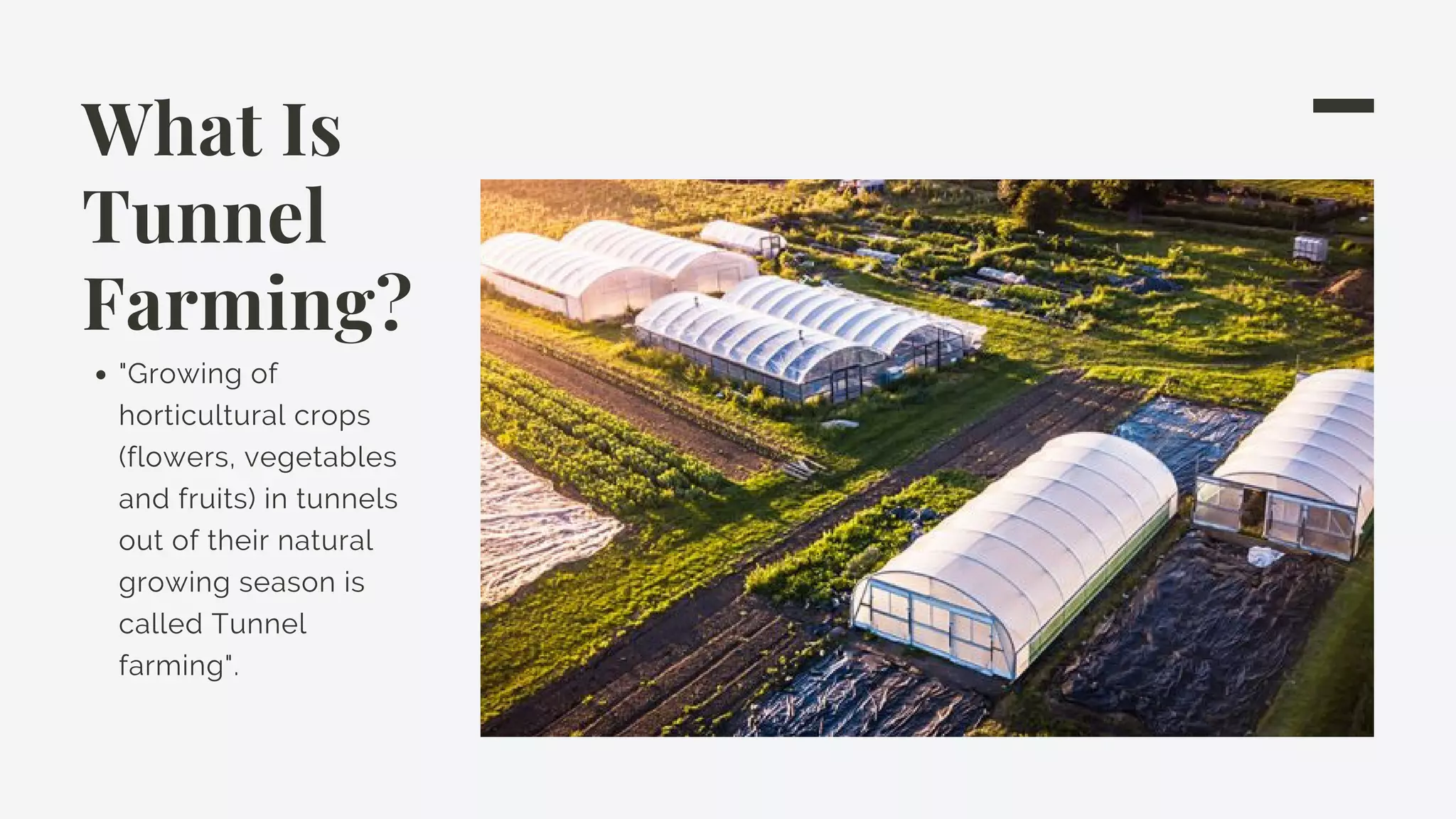Tunnel Farming and its types. | PDF