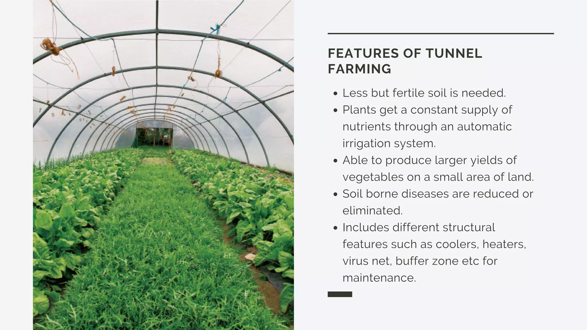 Tunnel Farming and its types. | PDF