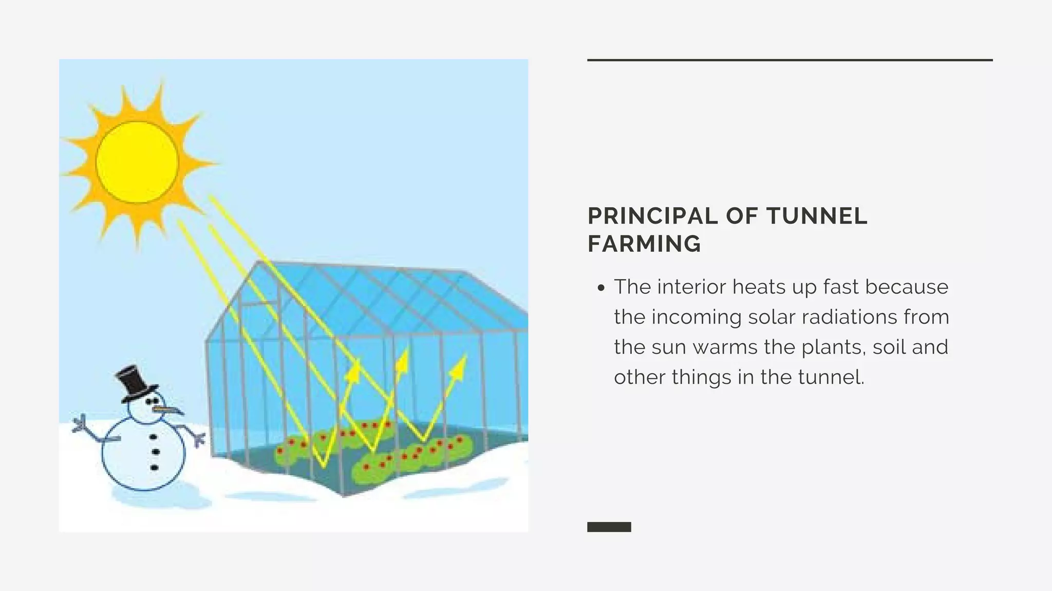 Tunnel Farming and its types. | PDF
