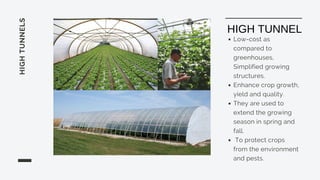 Tunnel Farming and its types. | PDF