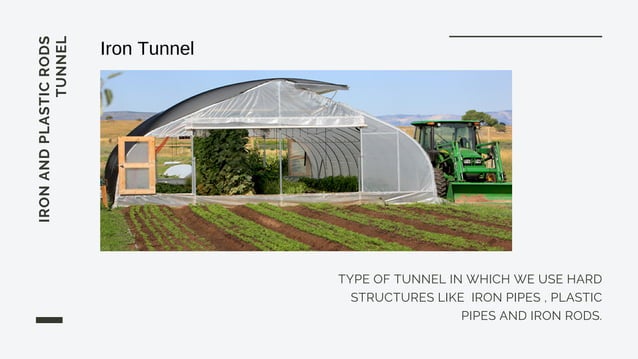 Tunnel Farming and its types. | PDF