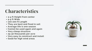 Tunnel Farming and its types. | PDF