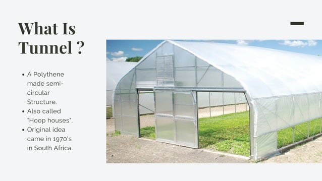 Tunnel Farming and its types. | PPT