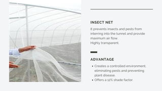 Tunnel Farming and its types. | PDF