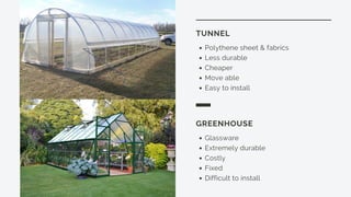 Tunnel Farming and its types. | PDF