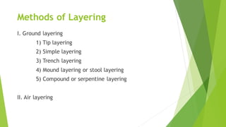 Layering | PPT