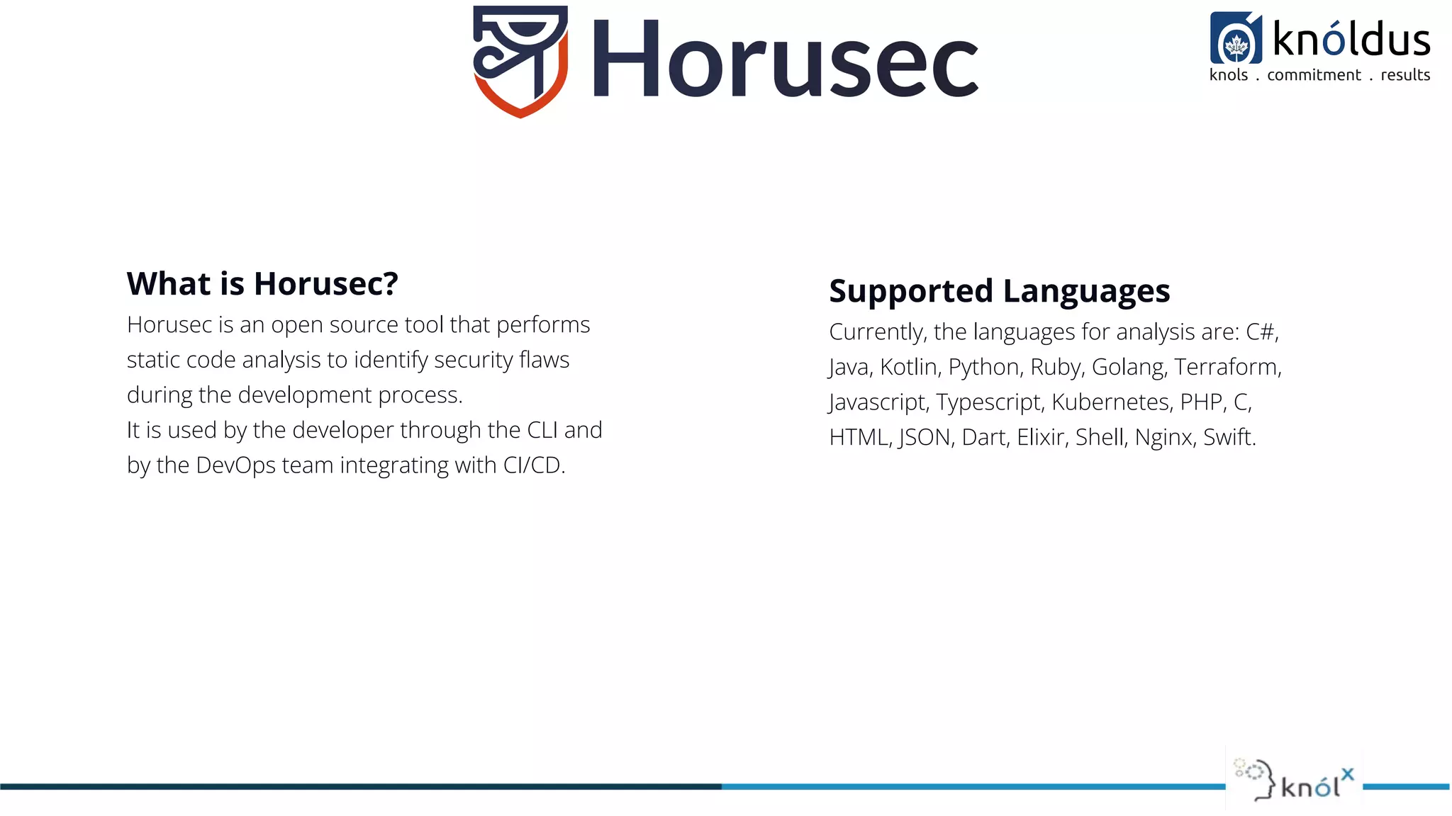 Horusec - Security & Vulnerability | PDF
