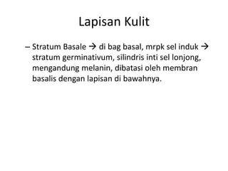 Ho sistem integumen rev.1 | PPT