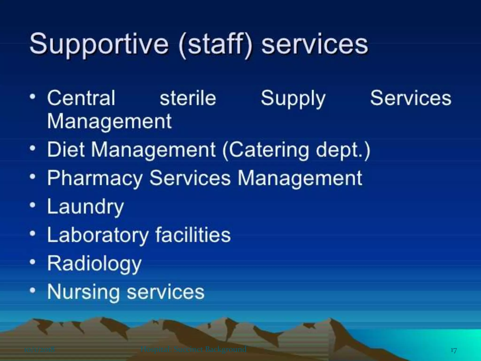 Hospital: Succinct Background | PPTX