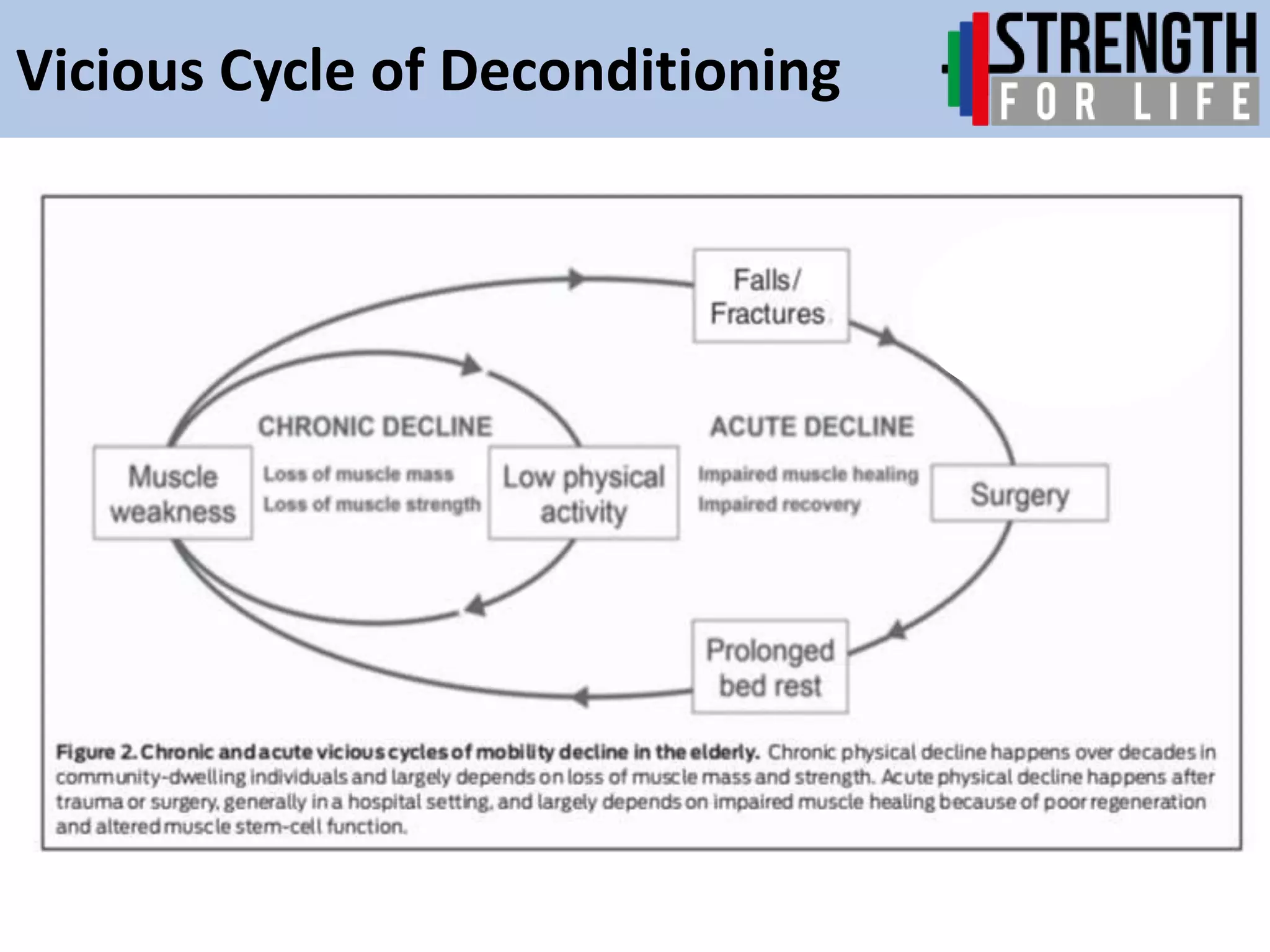 Hospital Acquired Deconditioning in Older Adults | PPTX