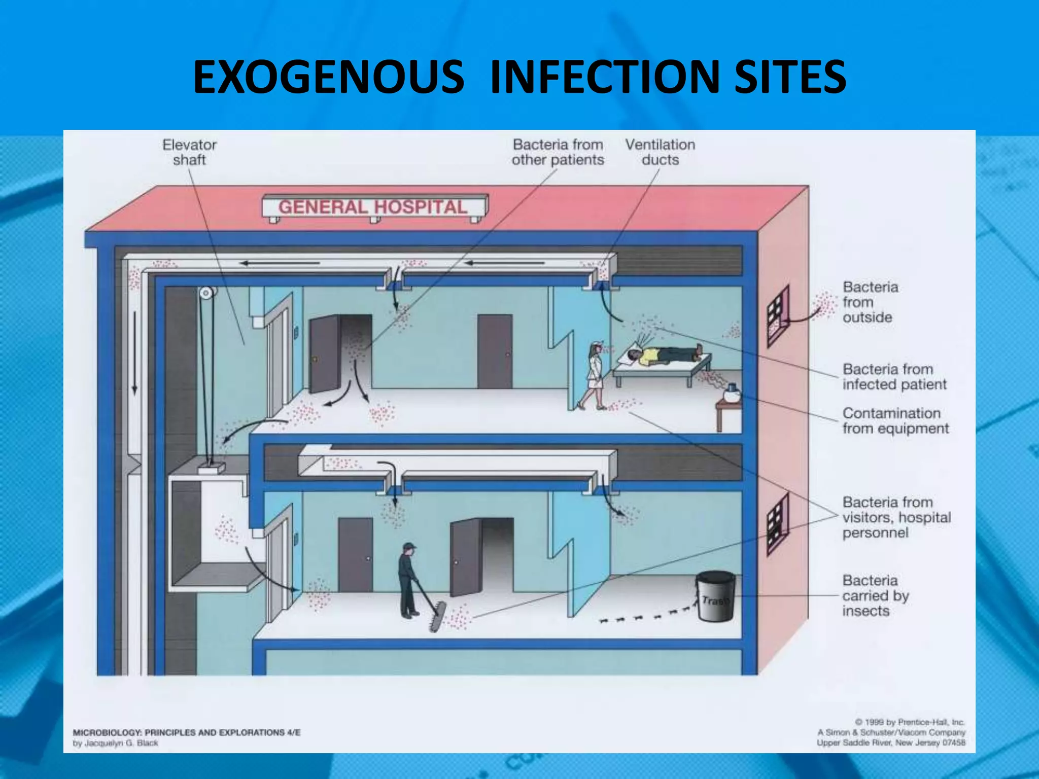 Hospital acquired infections | PPTX