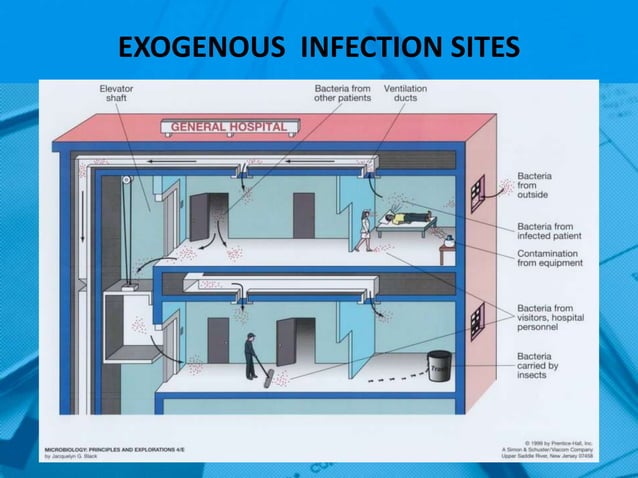Hospital acquired infections | PPTX