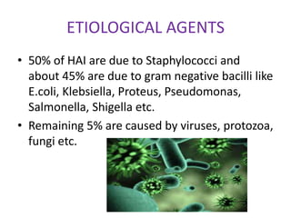 Hospital acquired infections | PPTX | Infectious Diseases | Diseases ...