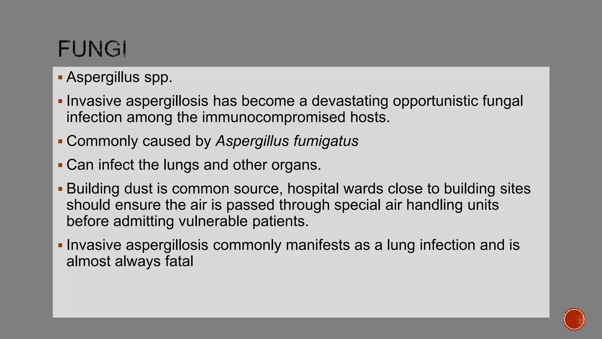Hospital acquired infections | PPTX