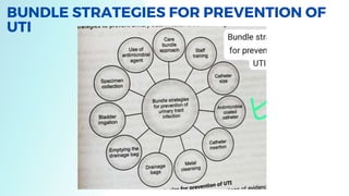 Hospital Acquired Infections 0.2.pptx... | PPTX