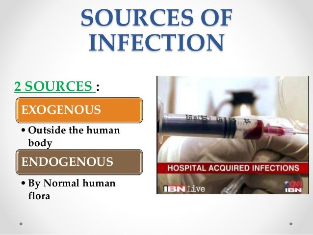 Exogenous Meaning Antigen Processing