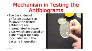 HOSPITAL ANTIBIOGRAMS principles interpretation and documentation | PPTX