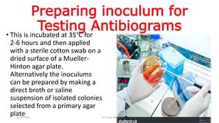 HOSPITAL ANTIBIOGRAMS principles interpretation and documentation | PPTX