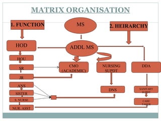 Hospital as an organisation | PPT