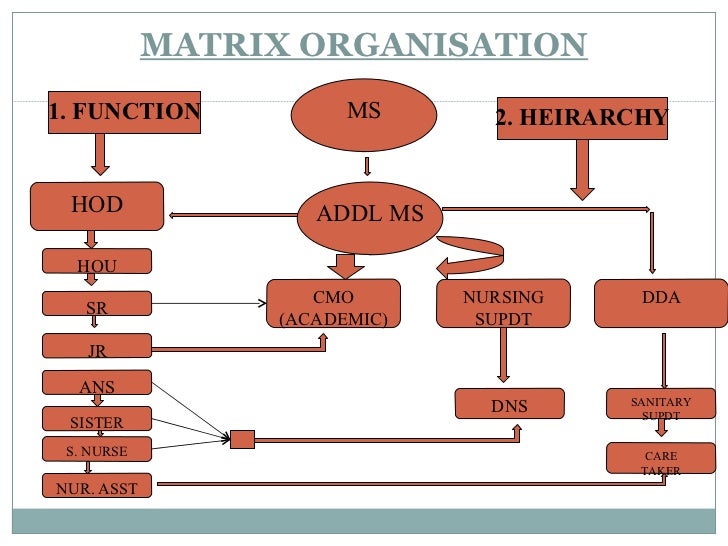 Hospital as an organisation