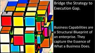 Hospital Business Capability Model: A Provider Capabilities List | PDF