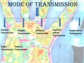 Hospital infections | PPT | Free download