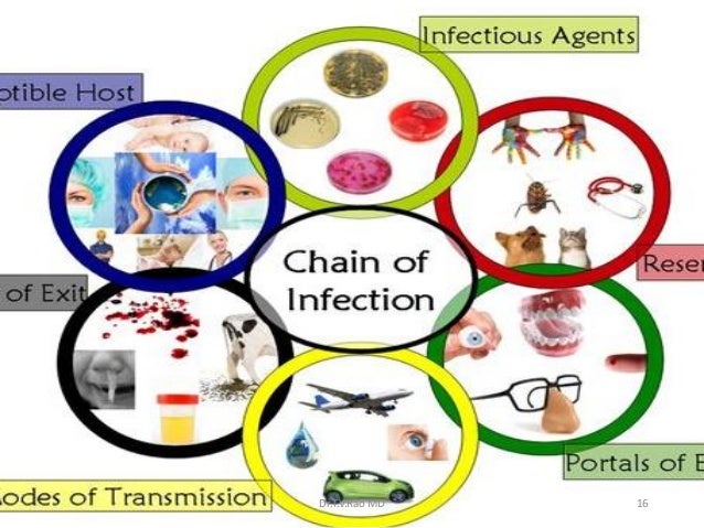 Hospital acquired infections basics and control of spread