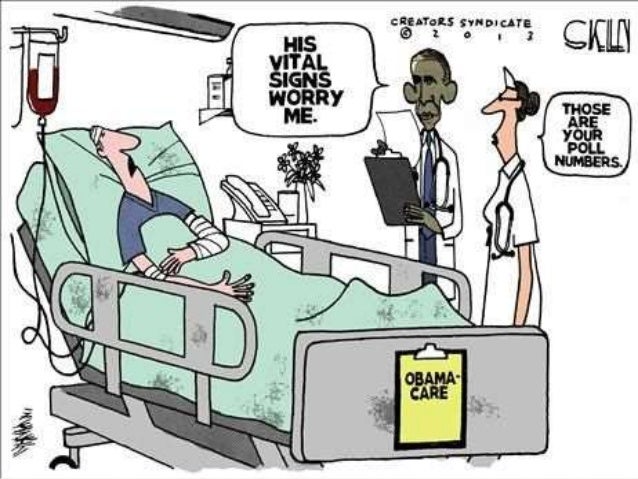 Organizing Information Cartoon Health