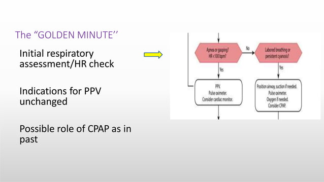 Hospital Jelebu Neonatal Resuscitation Program (NRP) 8th.pptx