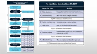 Hospital Jelebu Neonatal Resuscitation Program (NRP) 8th.pptx