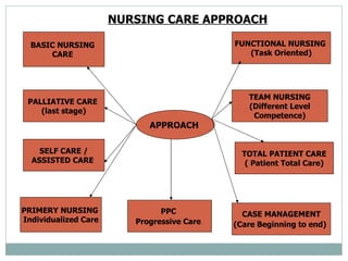 Hospital nursing service | PPT