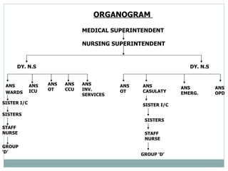 Hospital nursing service | PPT