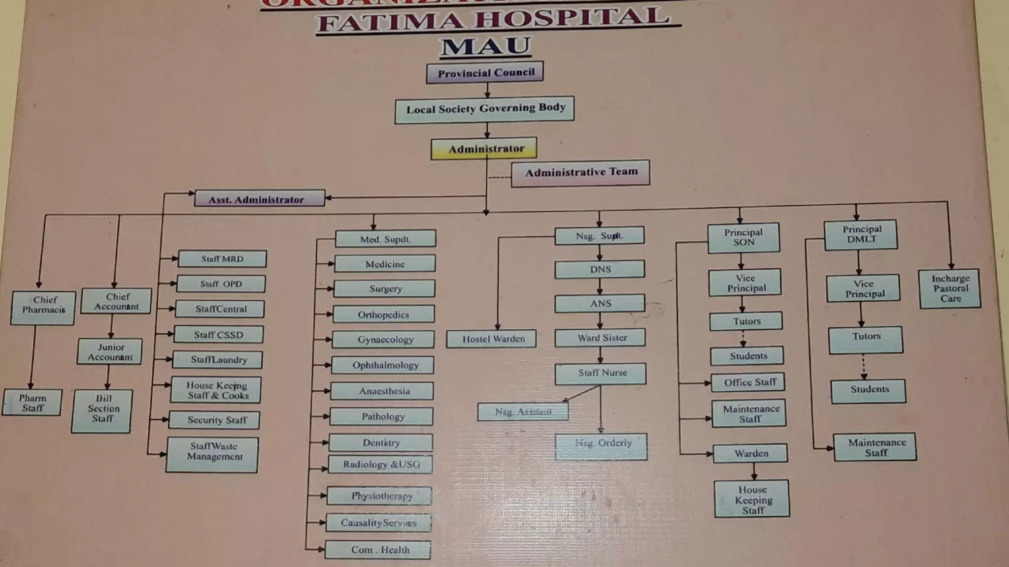 Hospital,organogram | PDF