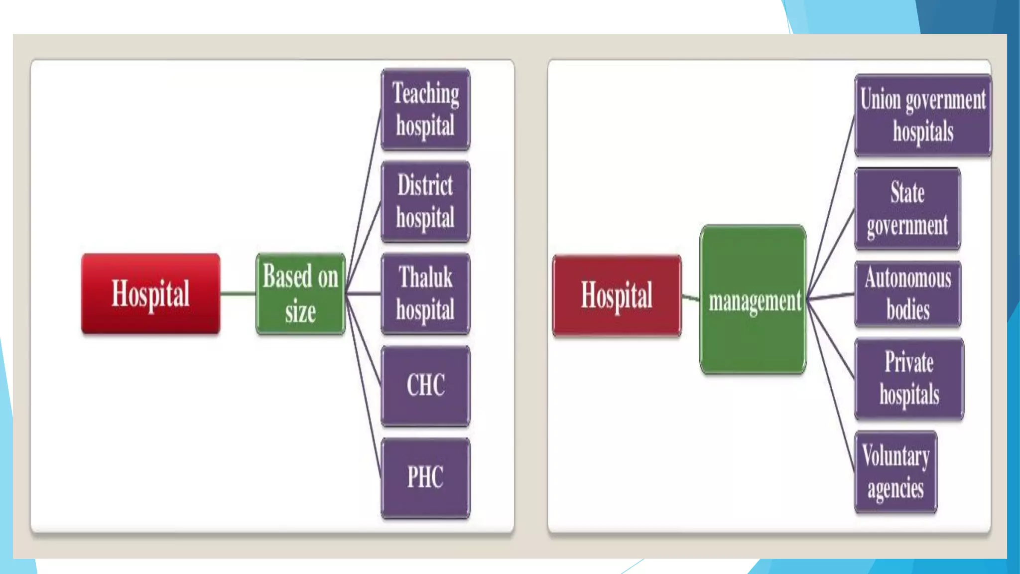 Hospital,organogram | PDF