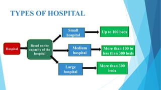 Hospital,organogram | PDF