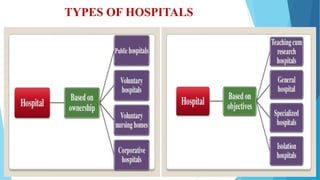Hospital,organogram | PDF