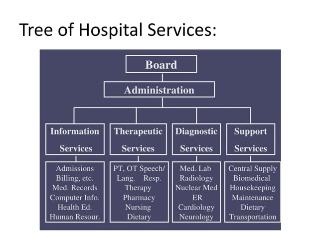 Hospital services | PPTX | Healthcare Industry | Industries