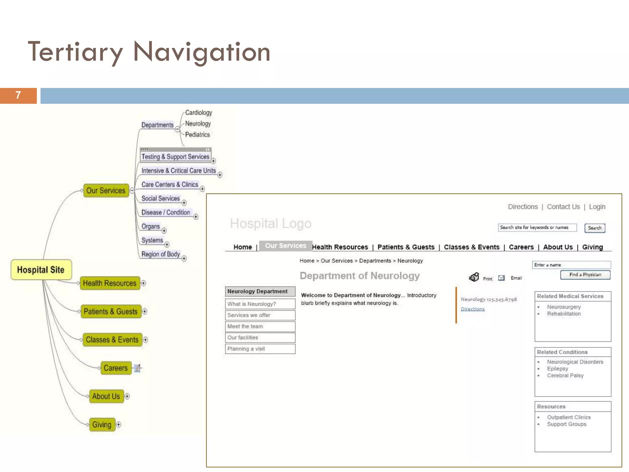Hospital Taxonomy | PDF