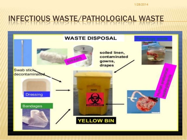 Pathological and anatomical waste - saadpretty